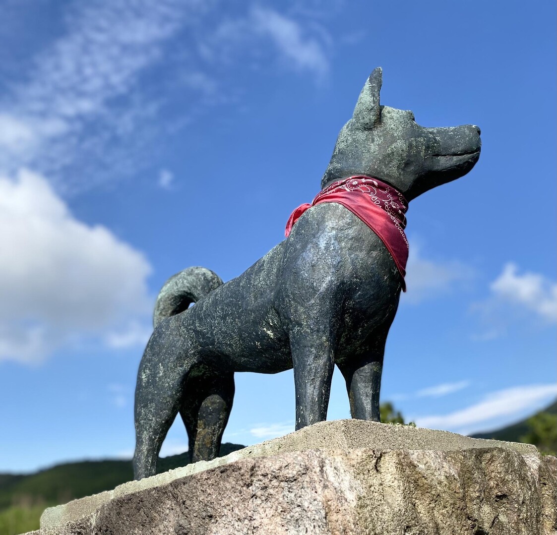 おにぎり山で足慣らし🚶‍♀️🚶🚶‍♀️ / ジジ&ホームズさんの九重山（久住山）・大船山・星生山の活動データ | YAMAP / ヤマップ