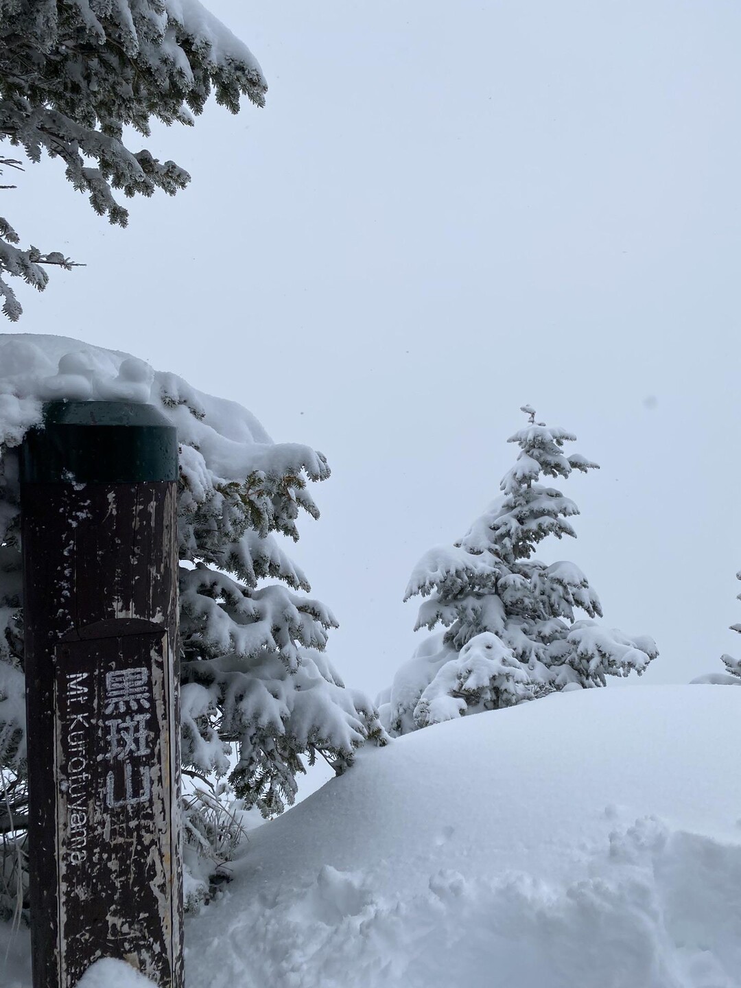 雪上歩行訓練！黒斑山2,404m / mackeyさんの浅間山・黒斑山・篭ノ登山の活動データ | YAMAP / ヤマップ