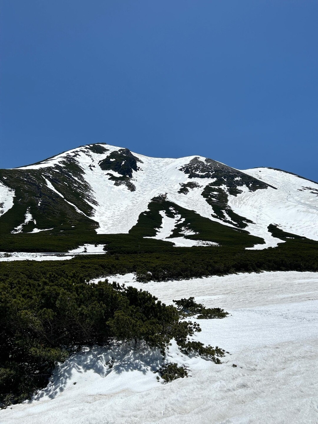 乗鞍岳（剣ヶ峰）・蚕玉岳・朝日岳 / Gucci Gucciさんの乗鞍岳の活動データ | YAMAP / ヤマップ