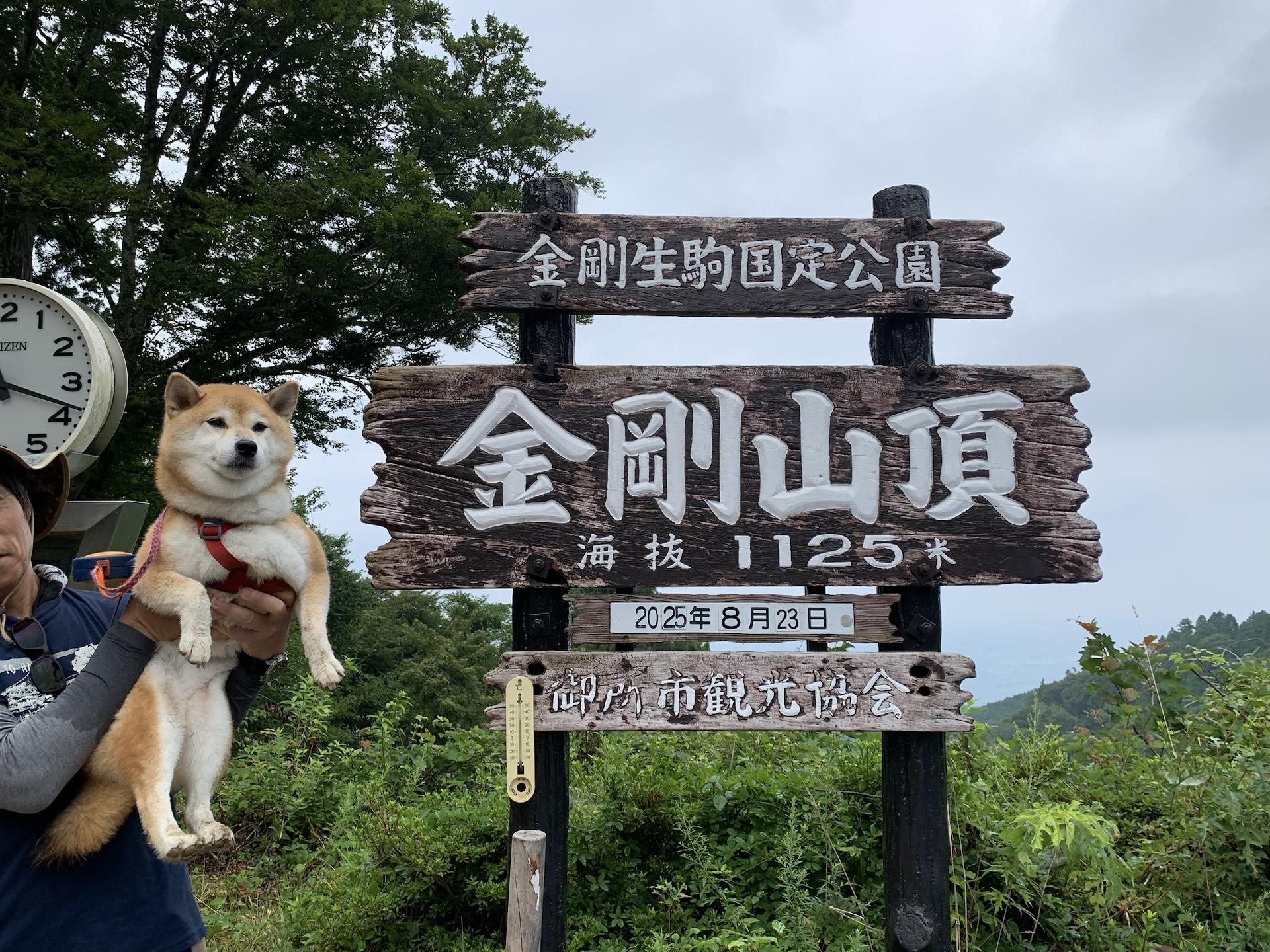 金剛山の動画できました！ https:/... / ゆうさんペさんのモーメント | YAMAP / ヤマップ