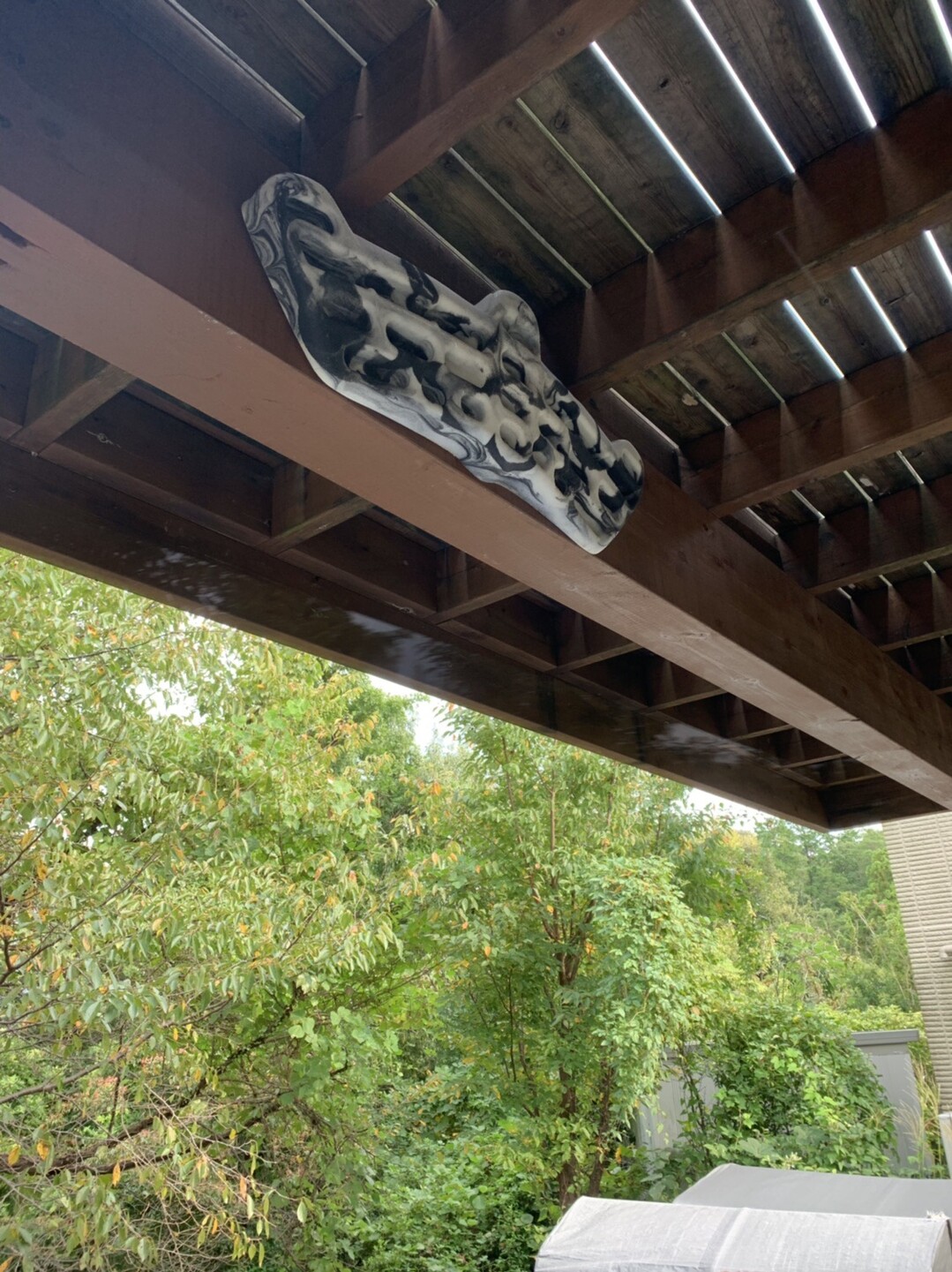 この半年、ガンガン走る事で体力と脚力がつ... / Y45Uさんのモーメント | YAMAP / ヤマップ