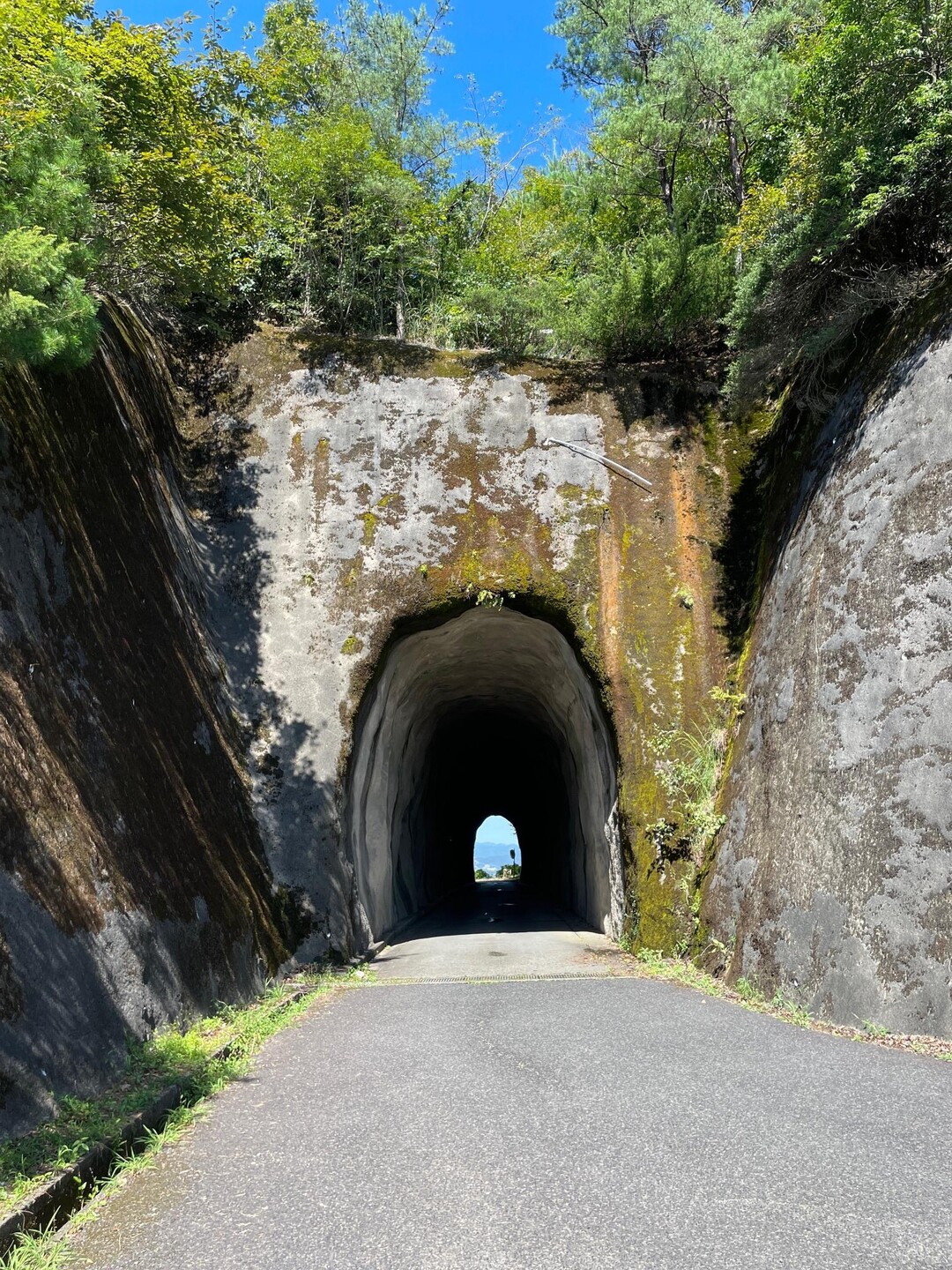 金比羅山・迫間山 / Sumiさんの各務原アルプス（関南アルプス）・八木三山の活動データ | YAMAP / ヤマップ