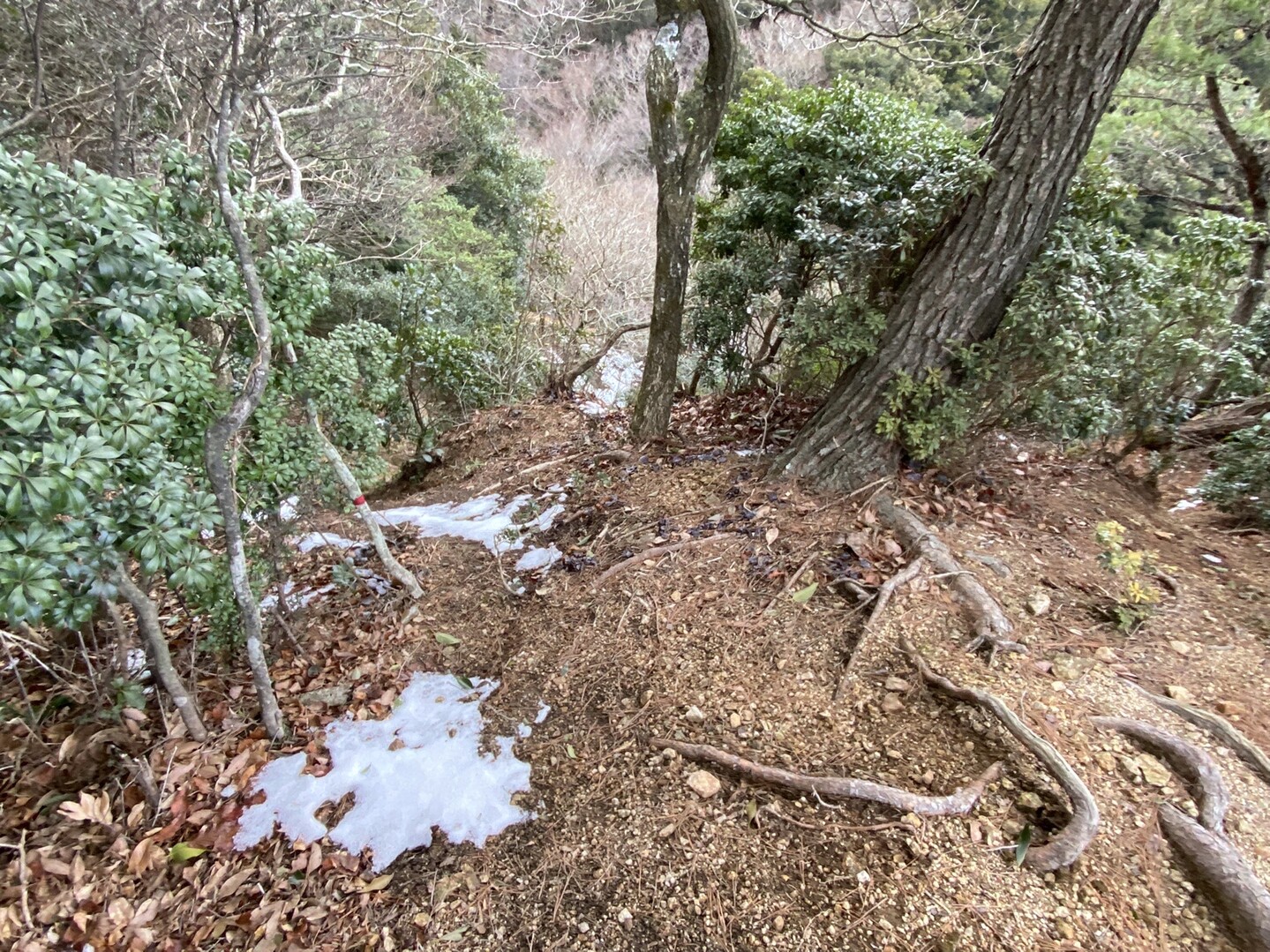 k2ma34さんの投稿したフィールドメモ | YAMAP / ヤマップ