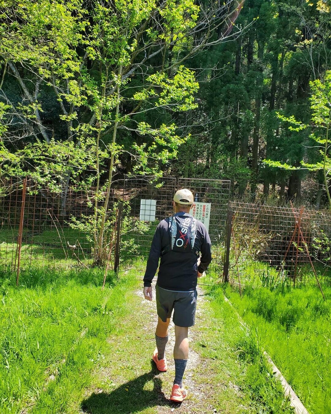 今日もおじゃまします。 緑がいい👍 / kiyoさんのモーメント | YAMAP / ヤマップ