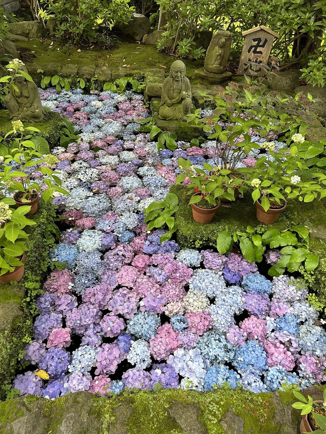 いざ鎌倉Part2 お友達のお供で北鎌倉... / なおみんさんのモーメント | YAMAP / ヤマップ