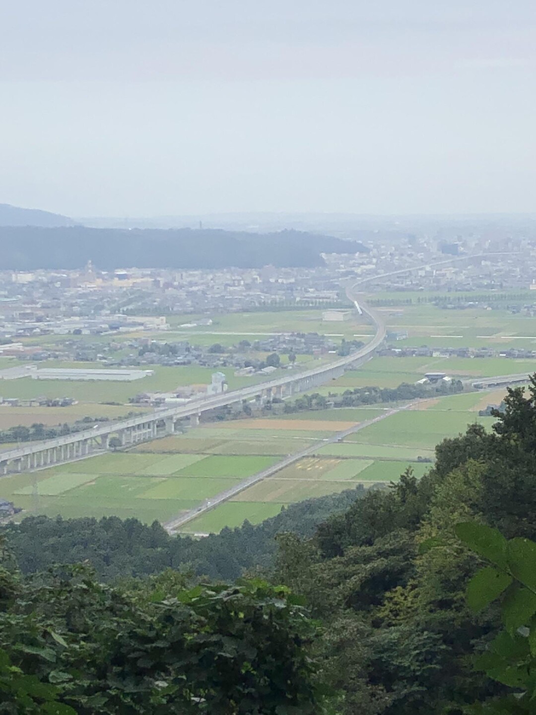 20240929_文殊山③二上登山口 / まみちゃんさんの文殊山の活動データ | YAMAP / ヤマップ