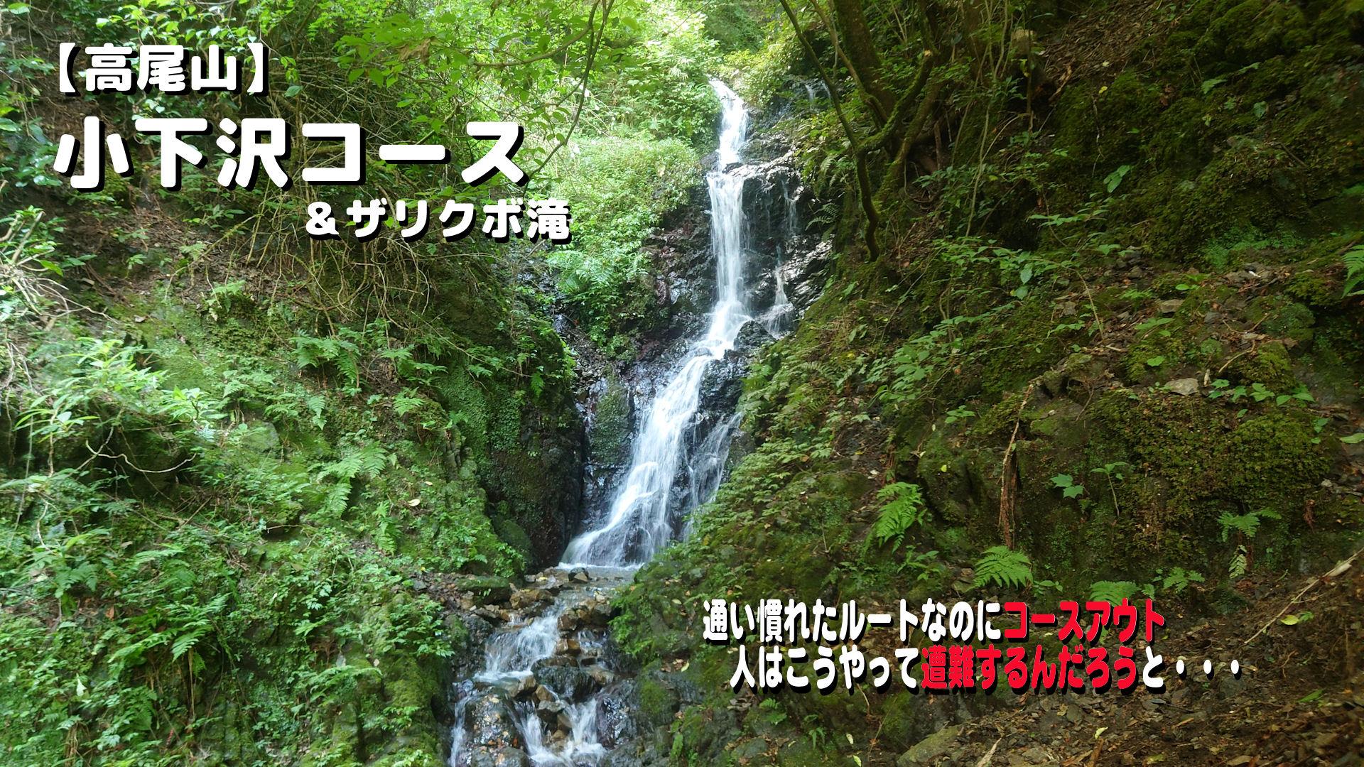 Youtube:[https://you... / StrayCatさんのモーメント | YAMAP / ヤマップ