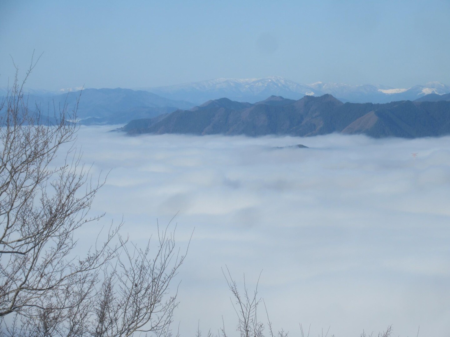 家の前の低山に登ったら氷ノ山の冠雪が見え... / てっちゃんさんのモーメント | YAMAP / ヤマップ