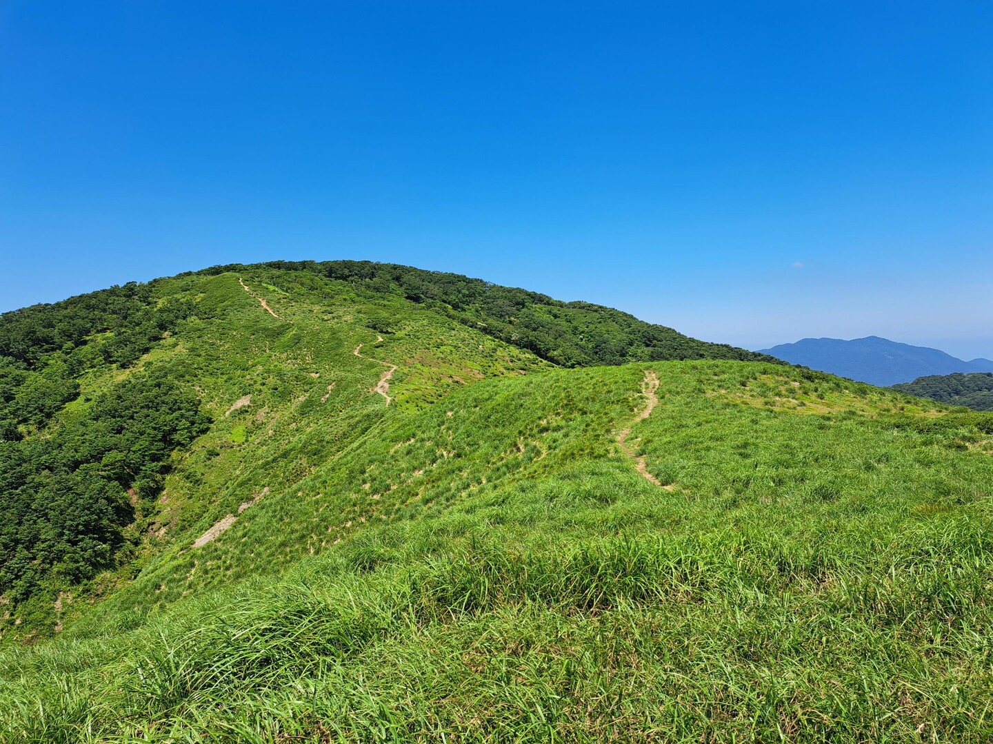 赤坂山 / TERUさんの三国山・乗鞍岳・赤坂山の活動データ | YAMAP / ヤマップ