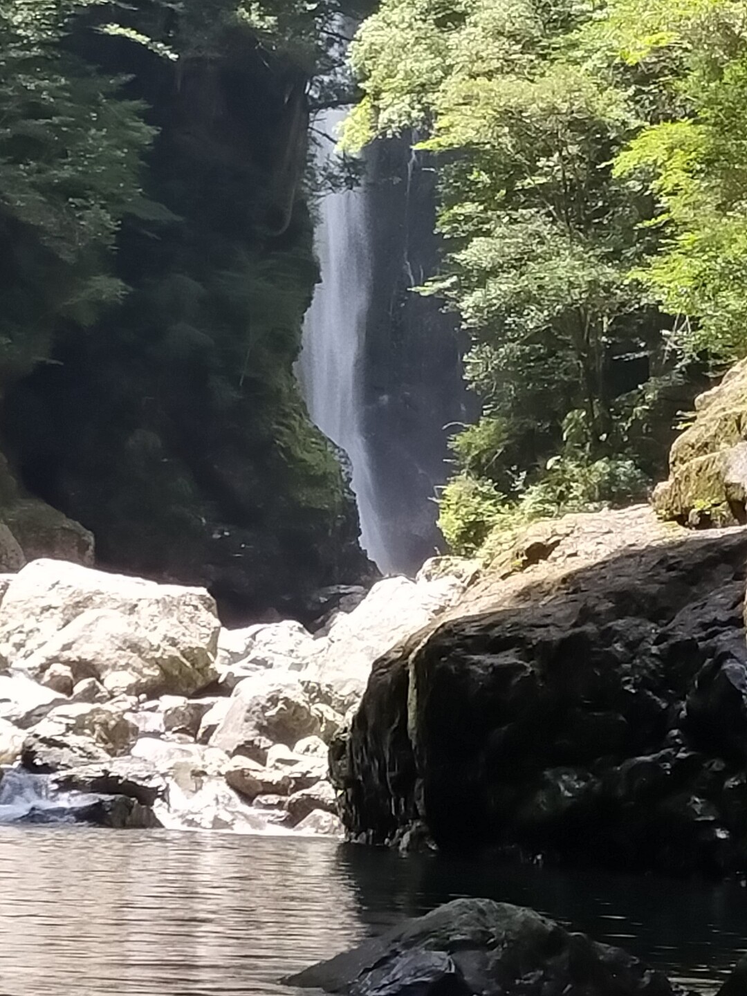 大杉谷 / bunpakuさんの大台ヶ原山・日出ヶ岳・大杉谷の活動データ | YAMAP / ヤマップ