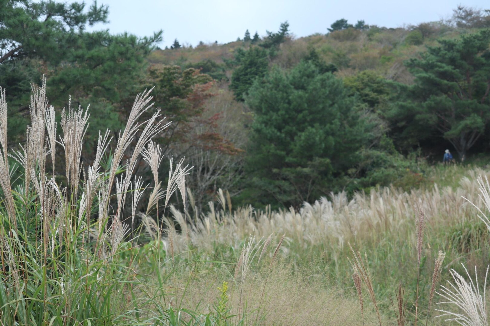筑波山（男体山）・筑波山（女体山） / SHIOさんの筑波山の活動日記 | YAMAP / ヤマップ