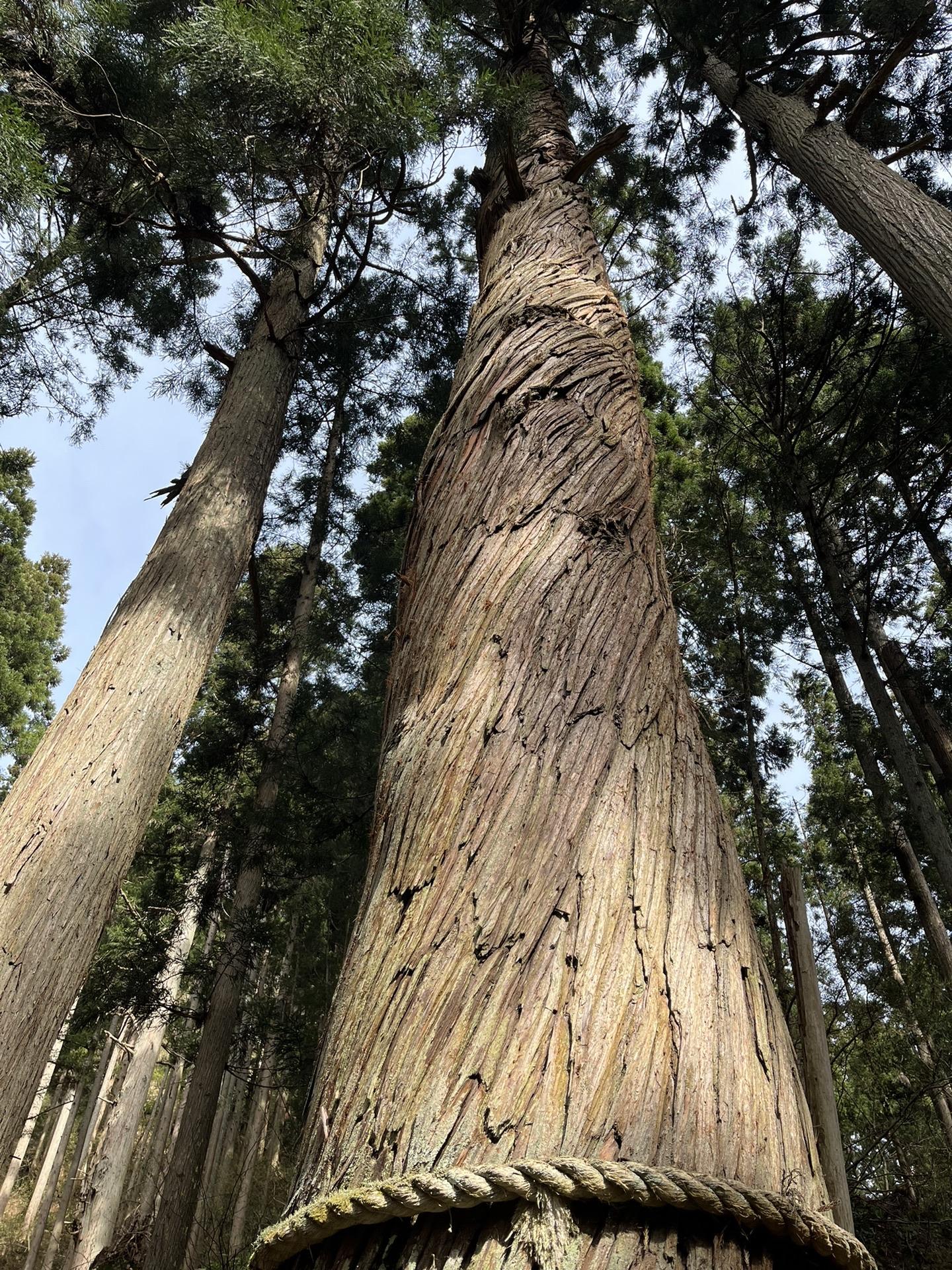 大平山 (姫神山)・神宮寺岳・伊豆山 / mt.ryuさんの大平山の活動データ | YAMAP / ヤマップ