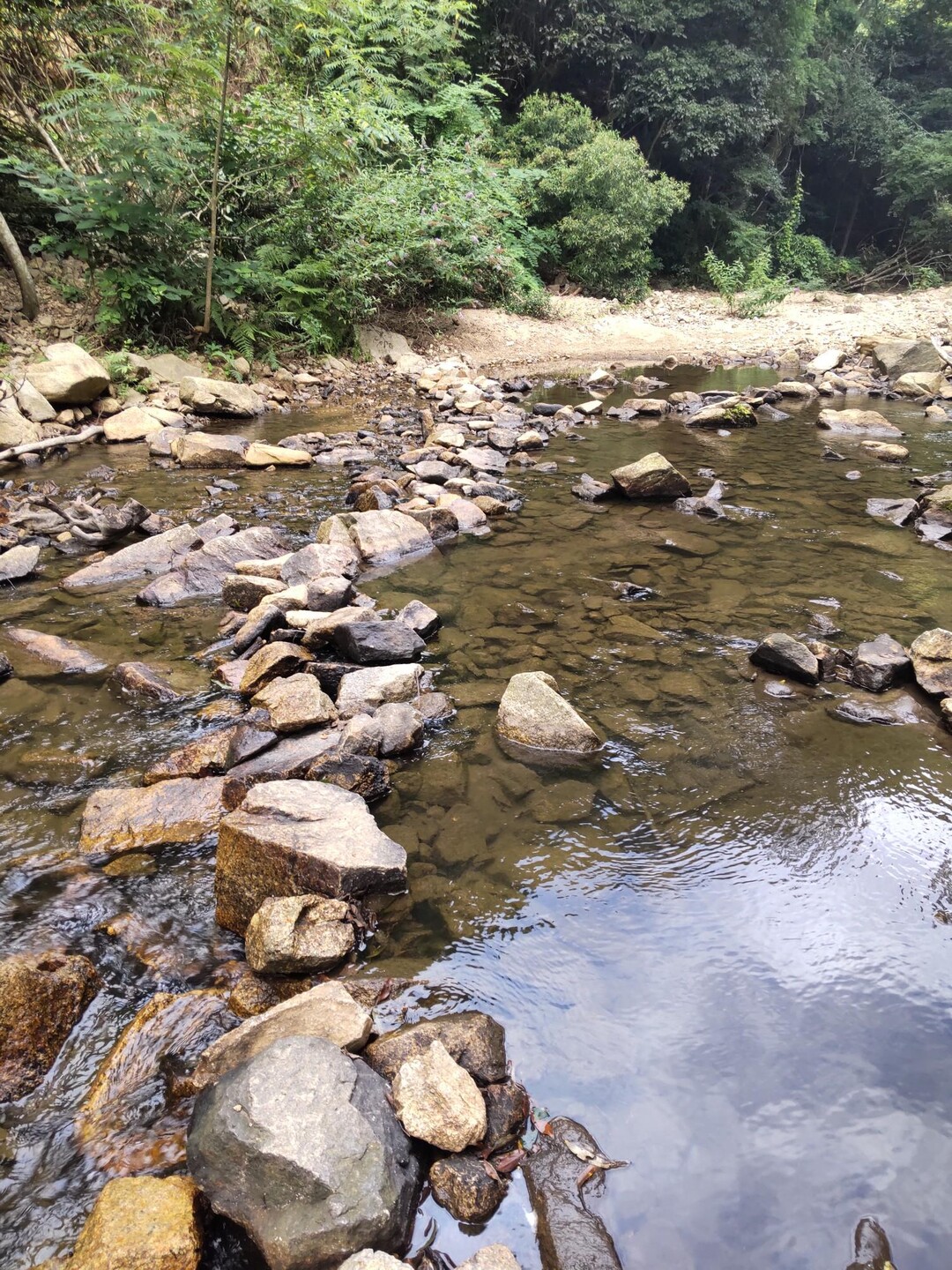 miyukyさんの投稿したフィールドメモ | YAMAP / ヤマップ