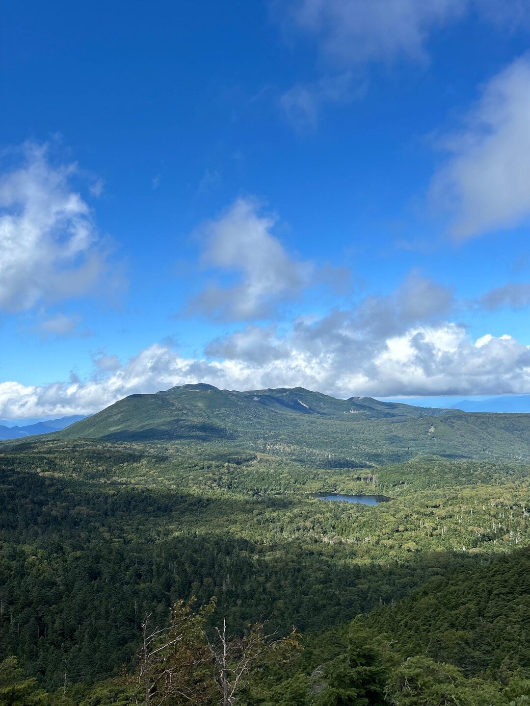 丸山(茅野市・佐久穂町)・中山・ニュウ_2024-09-23 / FJ-Zさんの八ヶ岳（赤岳・硫黄岳・天狗岳）の活動データ | YAMAP / ヤマップ
