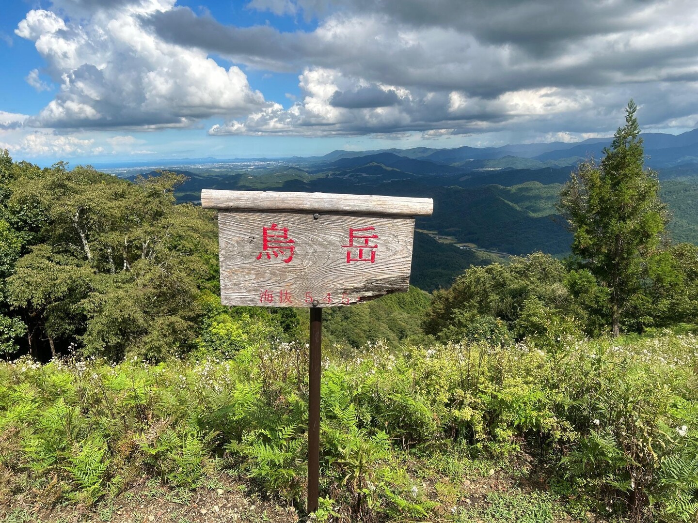 香肌イレブン 南猪子山・烏岳・大日山 / Motoさんの烏岳の活動データ | YAMAP / ヤマップ