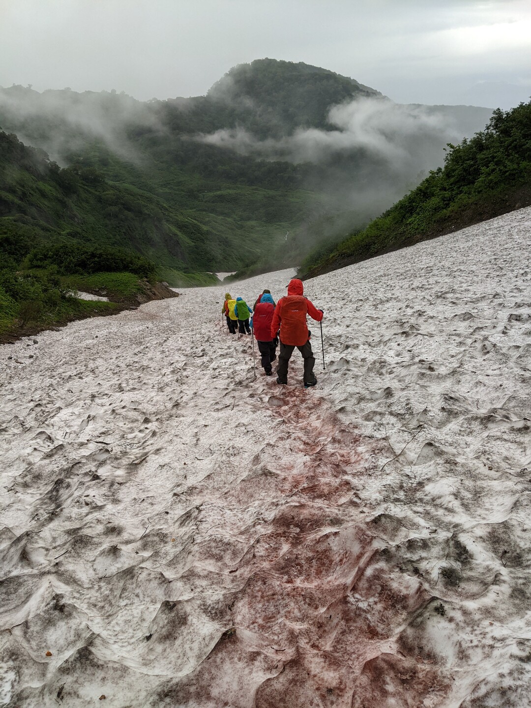 白馬岳 DAY3 -2022.07.21～22 / くどうさんの白馬岳・小蓮華山の活動データ | YAMAP / ヤマップ
