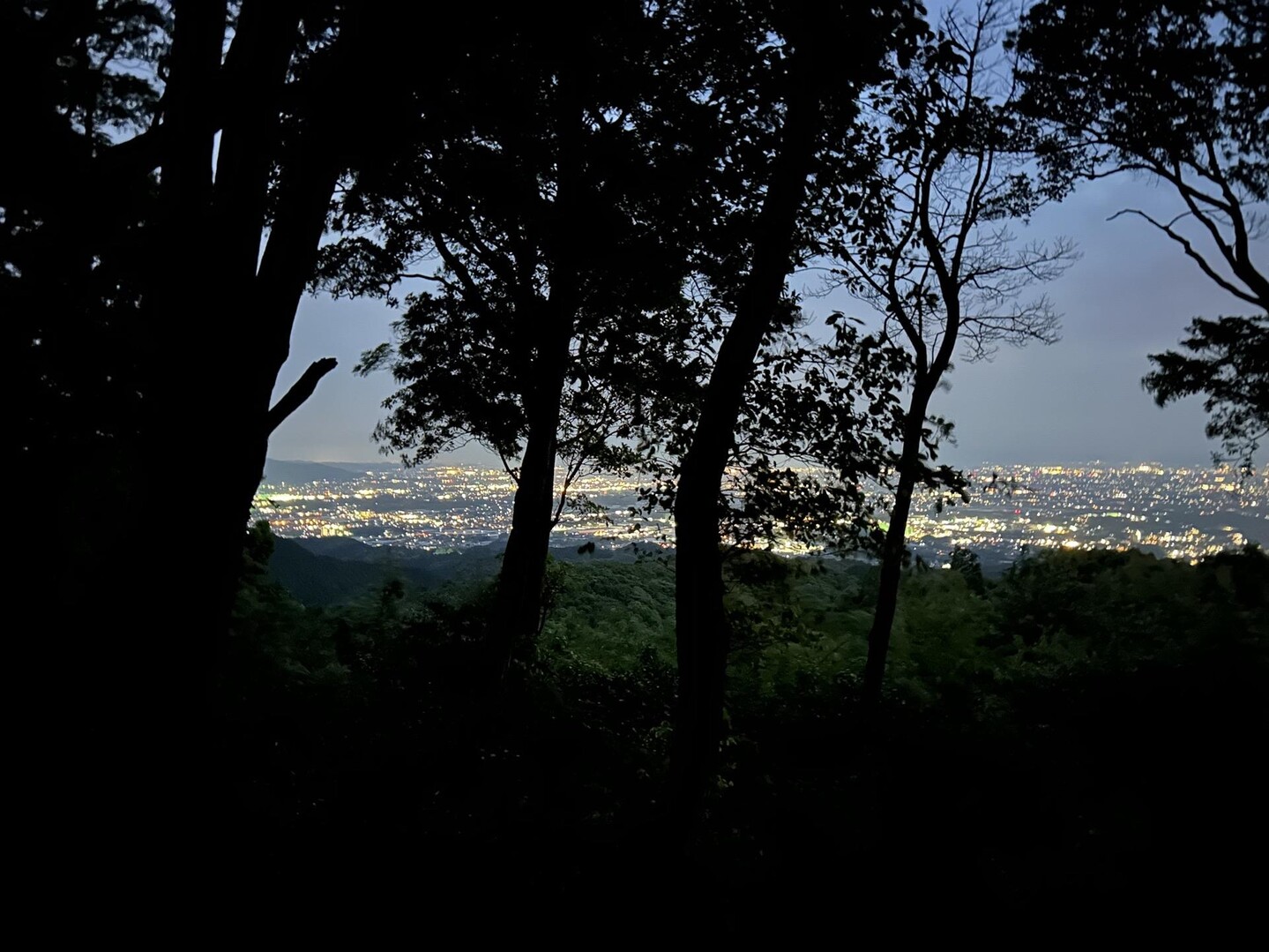 夜ラン 明星山 / Team AQAさんのトレイルランニングの活動データ | YAMAP / ヤマップ