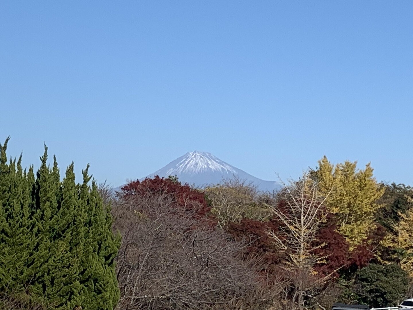 色々あって日本平 / gussanさんの日本平の活動データ | YAMAP / ヤマップ