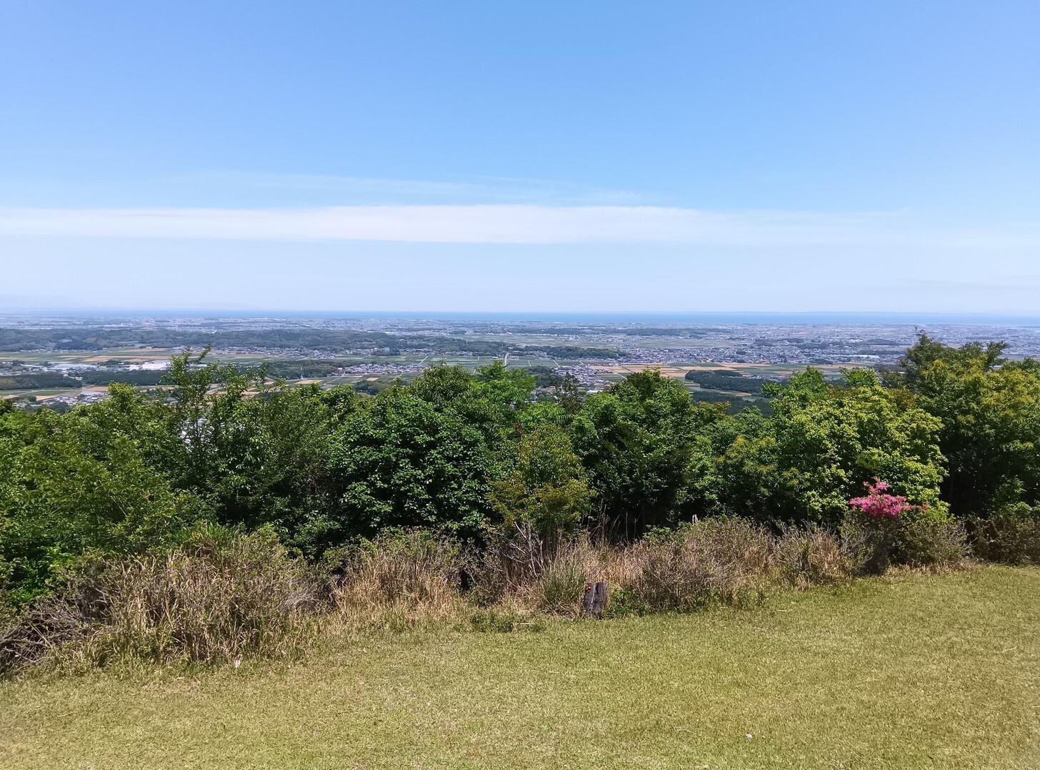 的山・的山南峰 / mino&maoさんの国束山・大日山の活動データ | YAMAP / ヤマップ