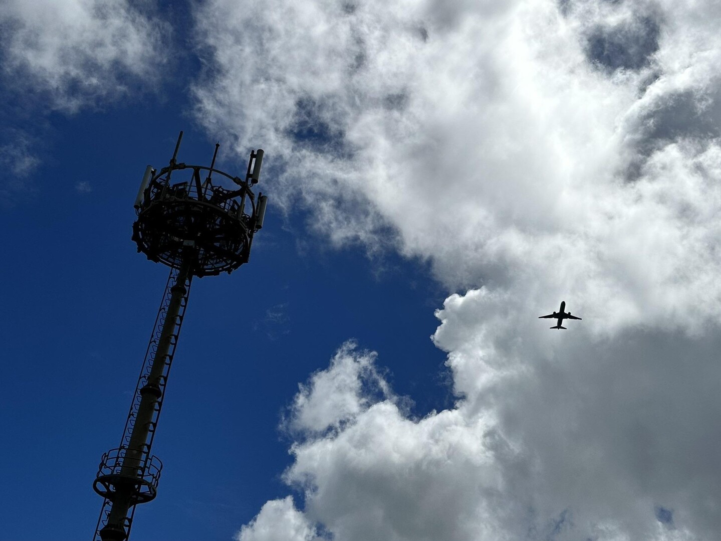 山印帳3 夏の青空 ️惣陣が丘⚱️ / MiMiさんの惣陣が丘の活動データ | YAMAP / ヤマップ