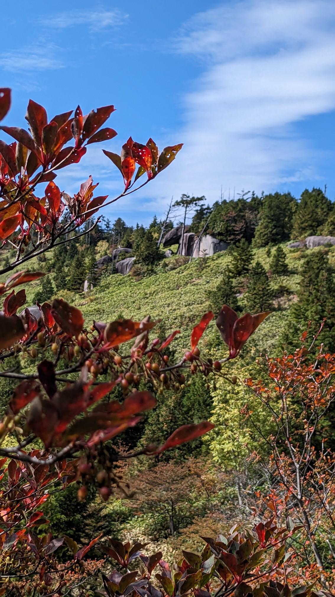 南木曽岳・摩利支天 / satokenさんの南木曽岳の活動データ | YAMAP / ヤマップ