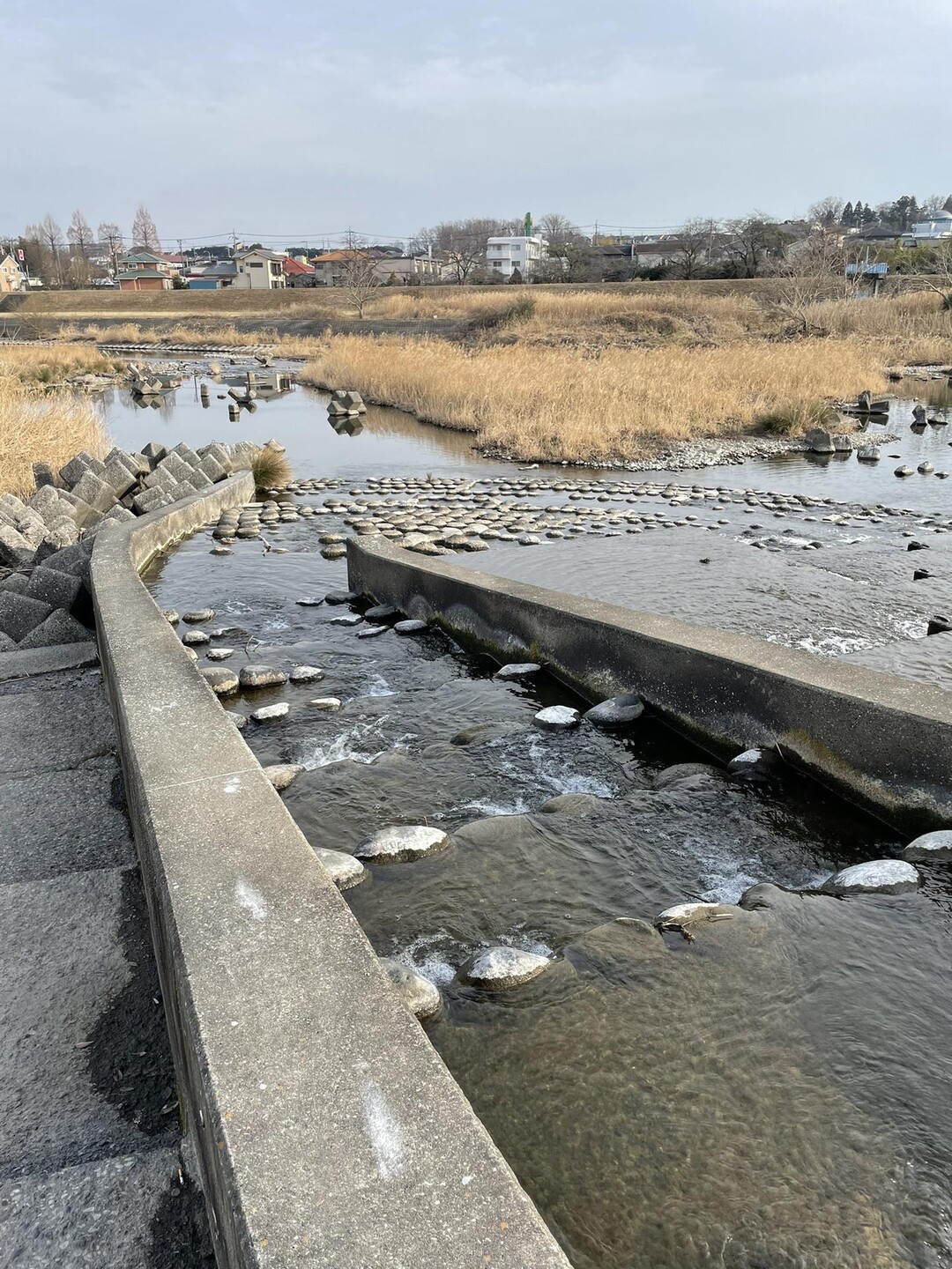 入間川河川敷ウォーキング / ken-3さんの狭山市の活動データ | YAMAP / ヤマップ