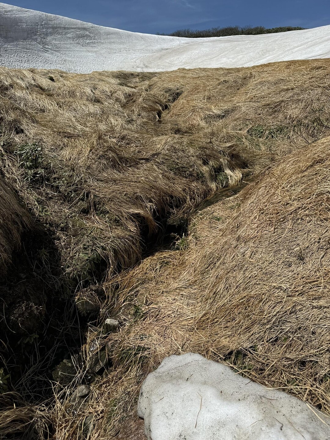 Shin5さんの投稿したフィールドメモ | YAMAP / ヤマップ