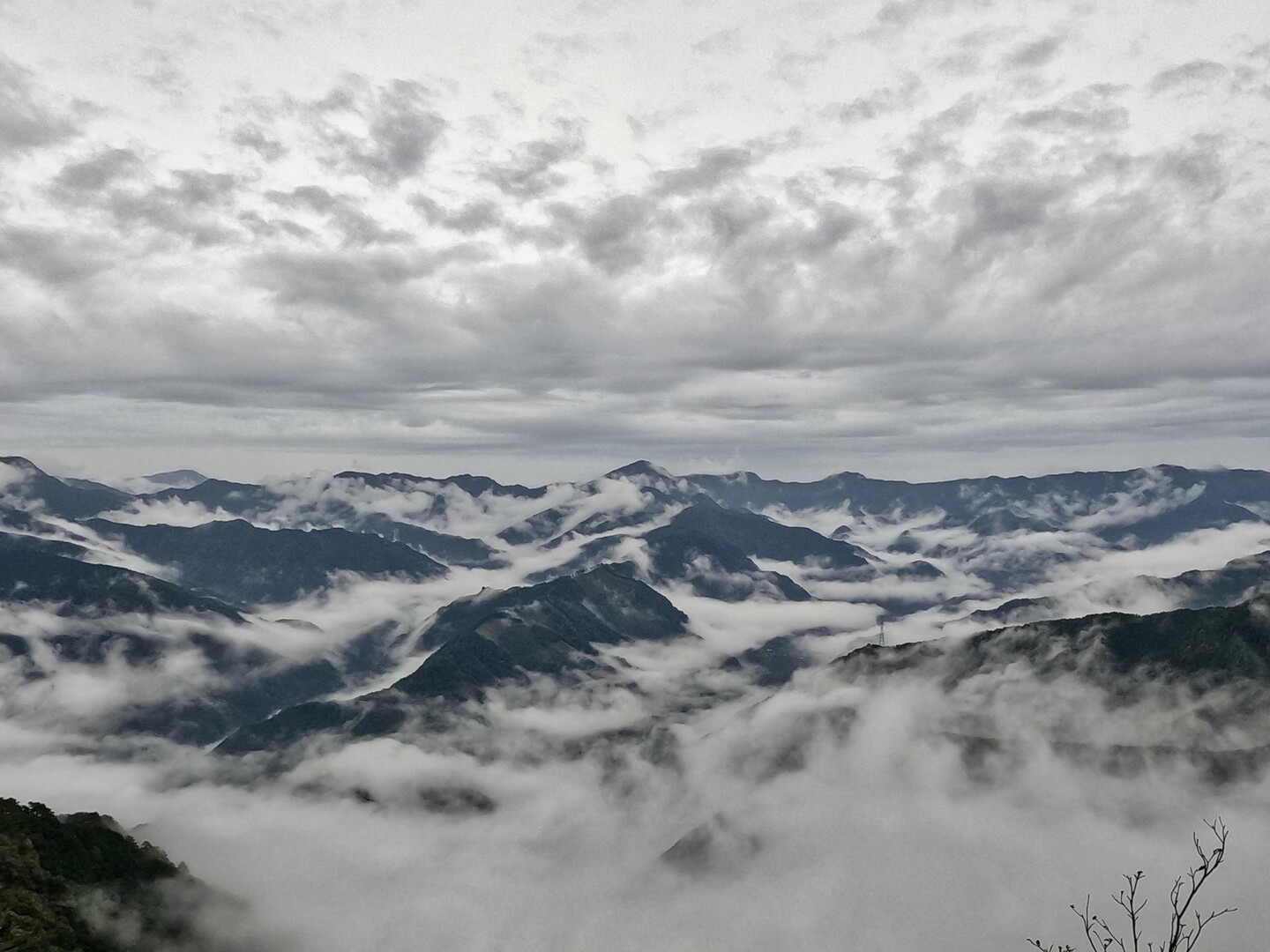 豊受山 【愛媛】 / z.f.umiさんの赤星山・豊受山の活動データ | YAMAP / ヤマップ