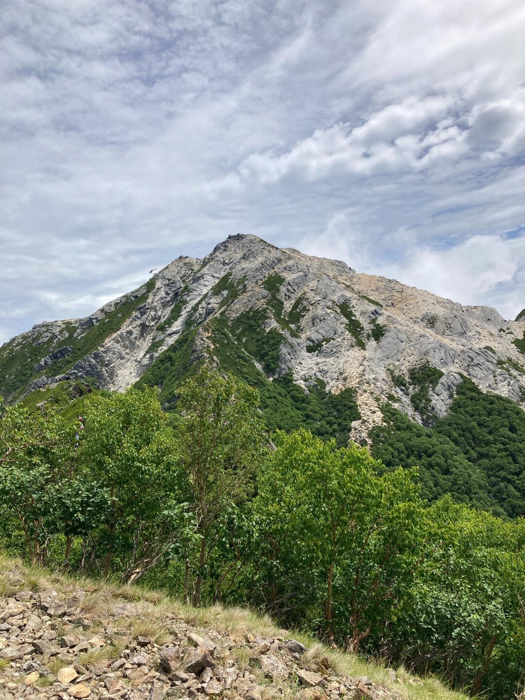 甲斐駒ヶ岳・駒津峰・双児山 Day2 / yuichiさんの仙丈ヶ岳・伊那荒倉岳の活動データ | YAMAP / ヤマップ