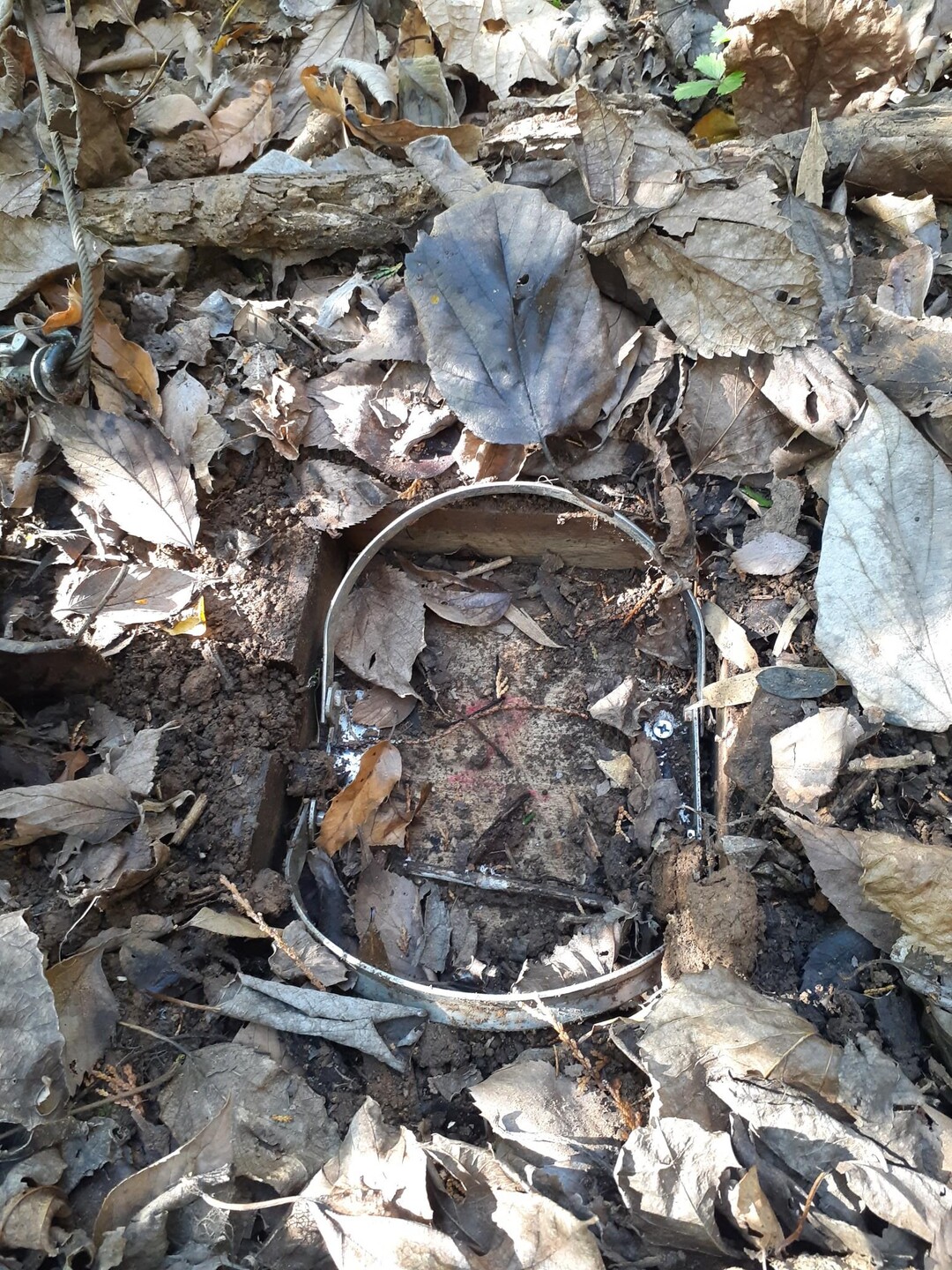 ko usさんの投稿したフィールドメモ | YAMAP / ヤマップ