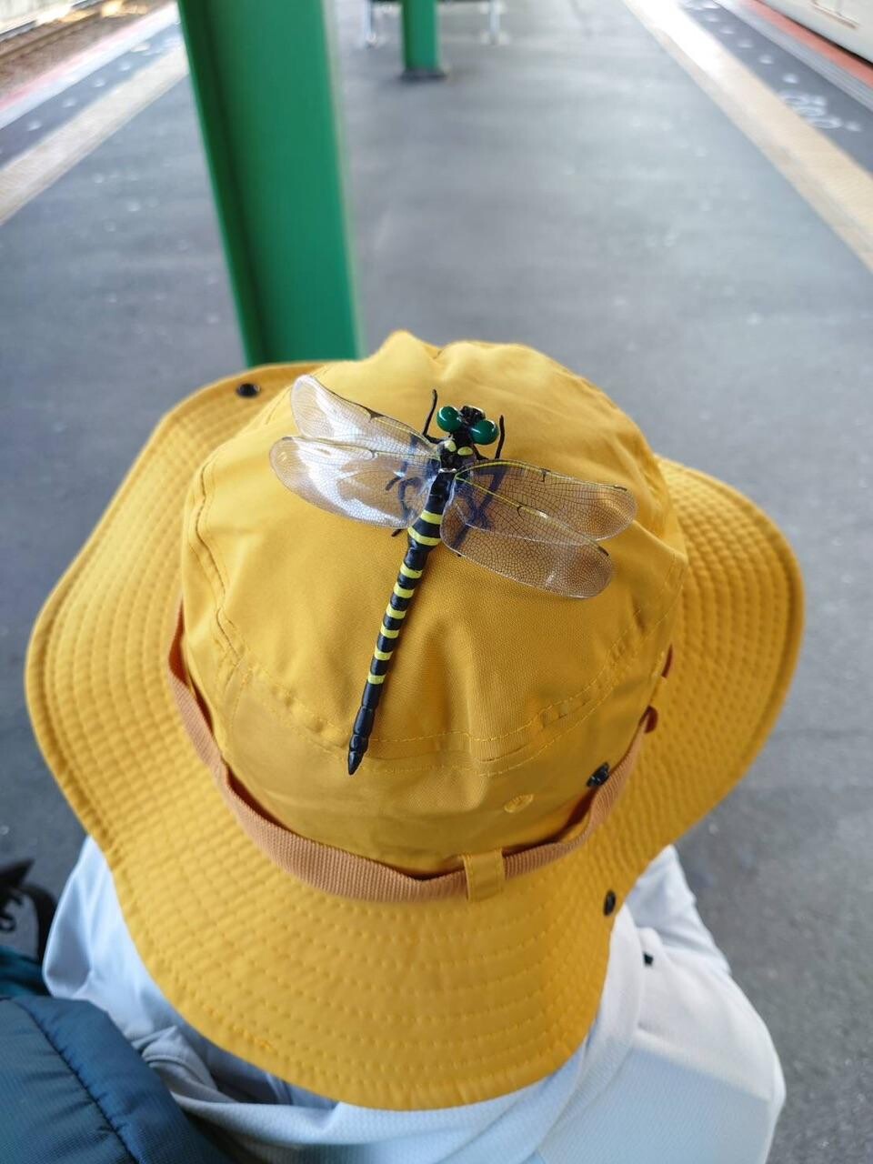 silkoのページ | YAMAP / ヤマップ