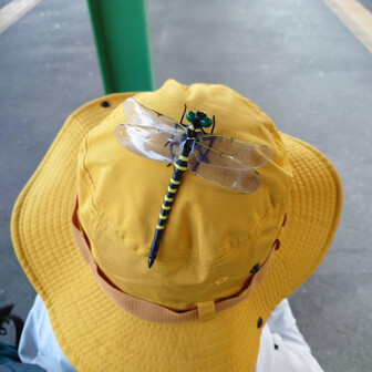 silkoのページ | YAMAP / ヤマップ