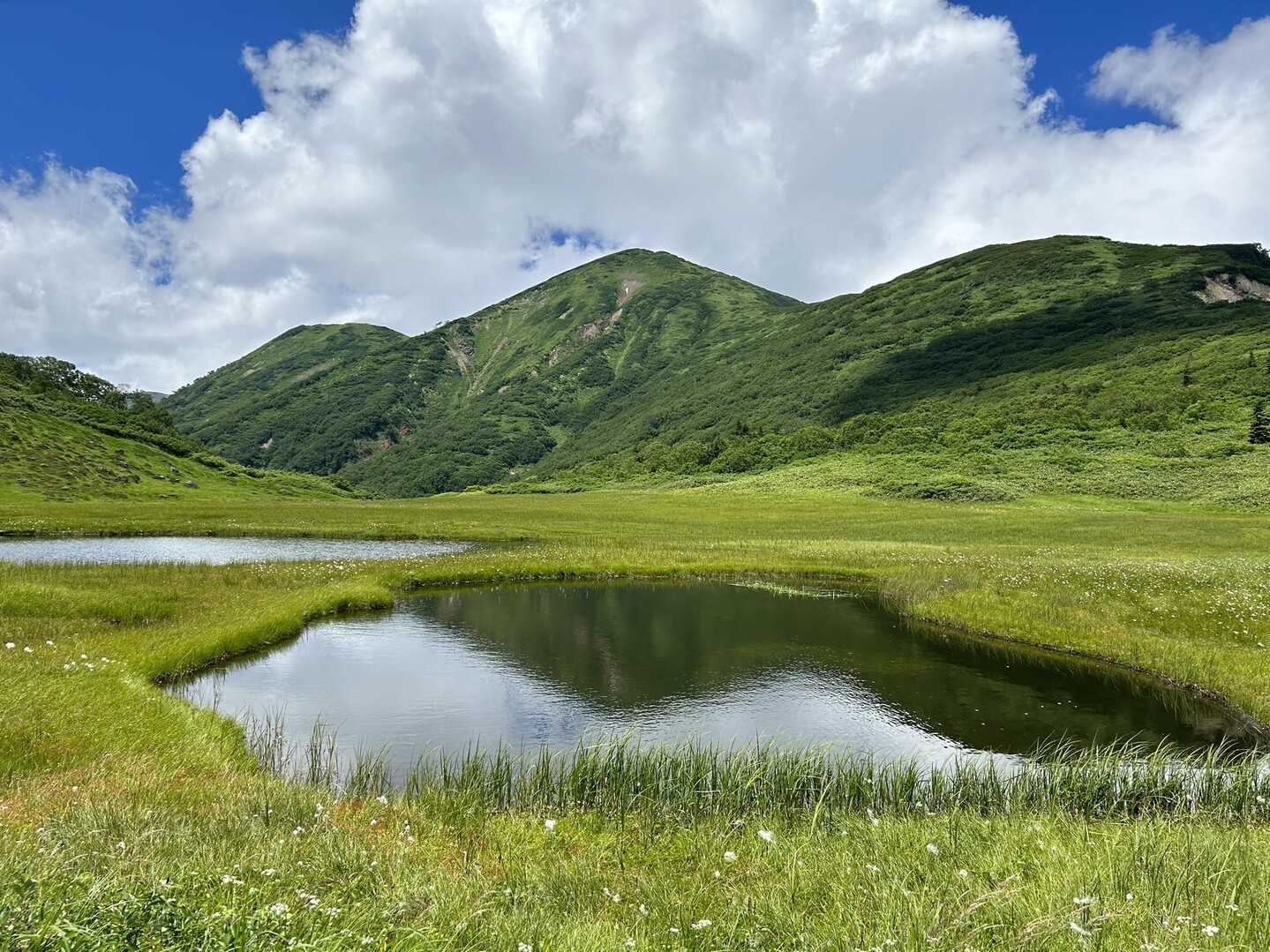 火打山・妙高山 想像以上にいいトコ‼️ / kozyさんの妙高山・火打山の活動データ | YAMAP / ヤマップ