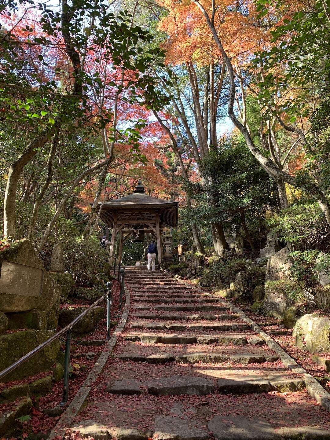 宗箇山・高峠山 / すまいるさんの広島南アルプス（武田山・三滝山・鈴ヶ峰）の活動データ | YAMAP / ヤマップ