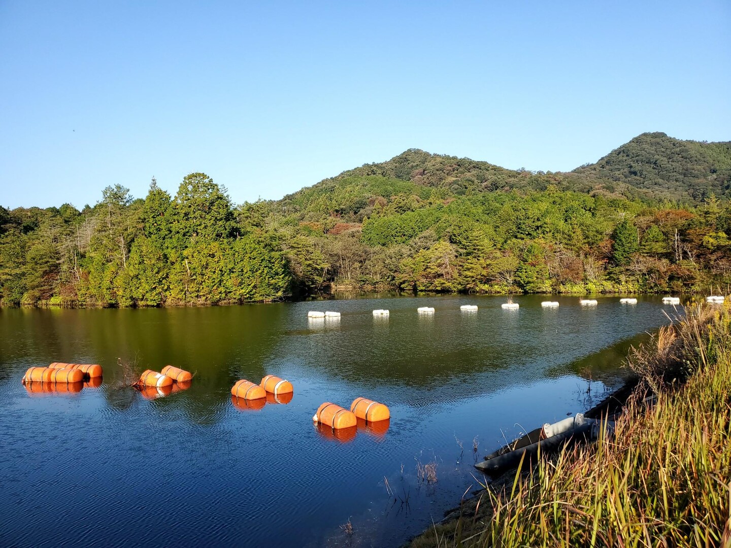 ひよどり城址266m / あまやんさんの烏岳の活動データ | YAMAP / ヤマップ