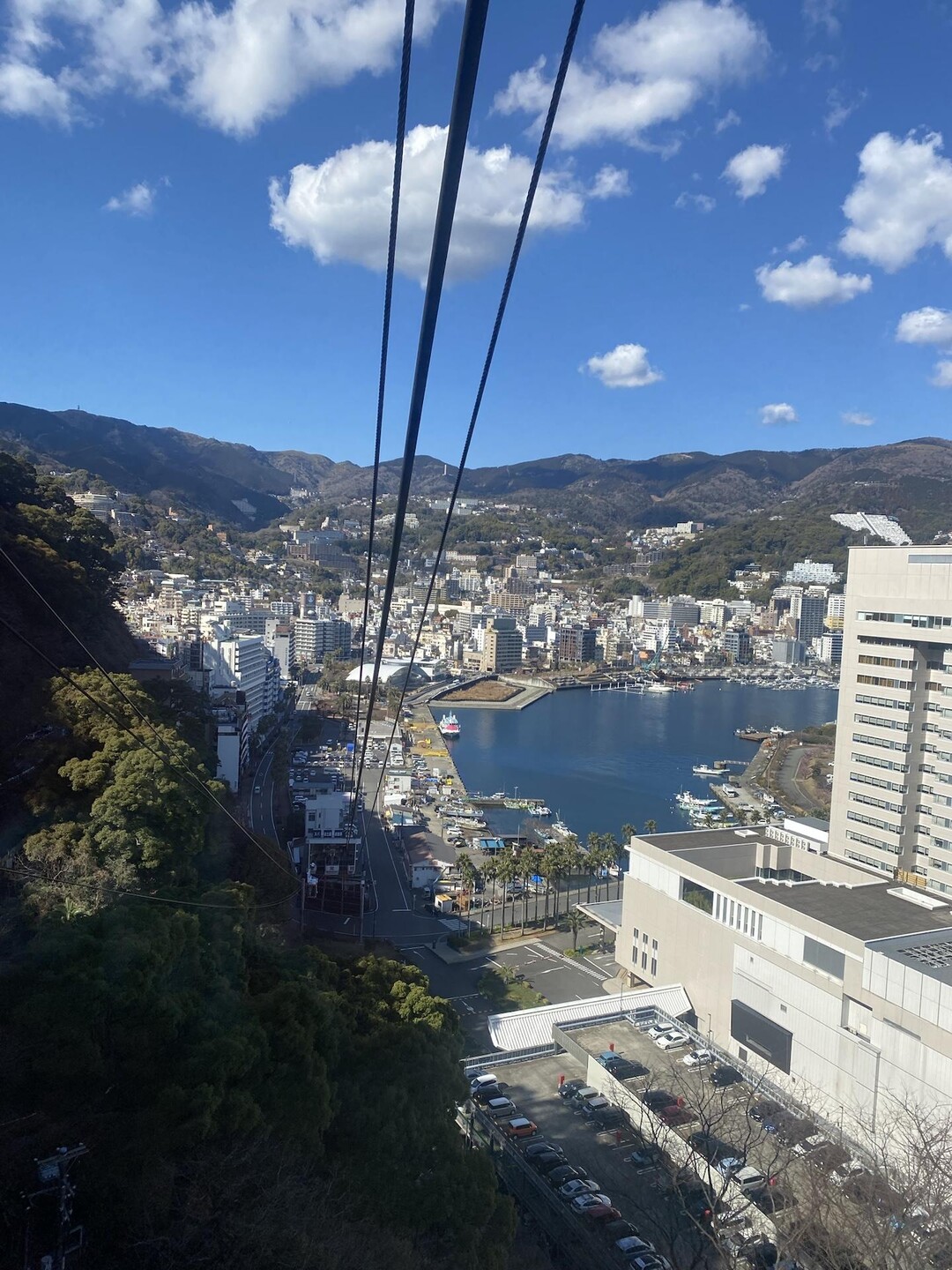 熱海桜（カンザクラ）がそろそろ見頃？ と... / OS@MUさんのモーメント | YAMAP / ヤマップ