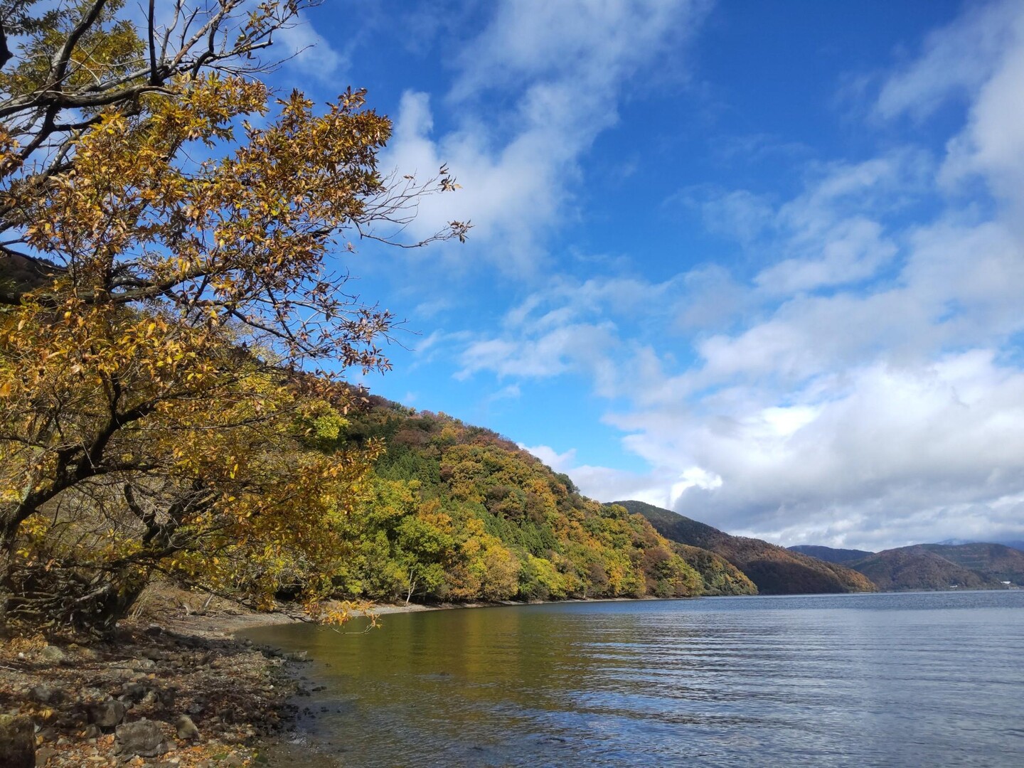 【ビワニ】葛籠尾崎の段① / Mt.OKA🎃さんの登山の活動データ | YAMAP / ヤマップ