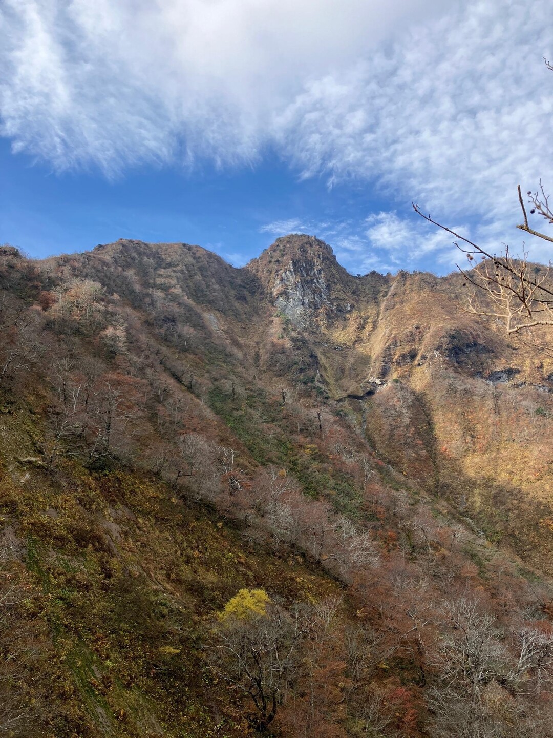 大山山系とんがりピークサミット②擬宝珠山・象山(笹ヶ峰)・烏ヶ山 / totoさんの烏ヶ山・象山（笹ヶ峰）の活動データ | YAMAP / ヤマップ