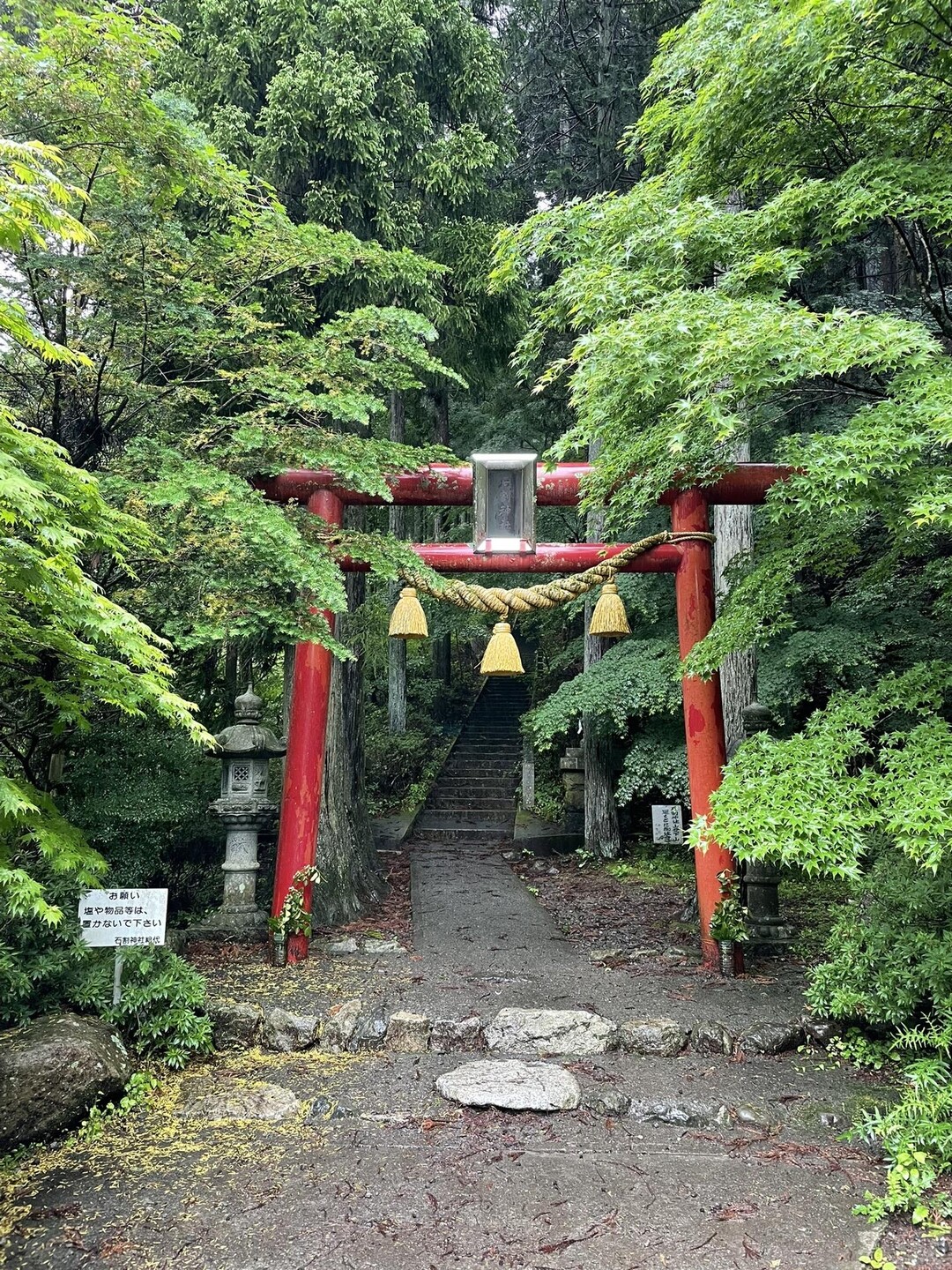 石割山 / smさんの御正体山・杓子山・石割山の活動データ | YAMAP / ヤマップ