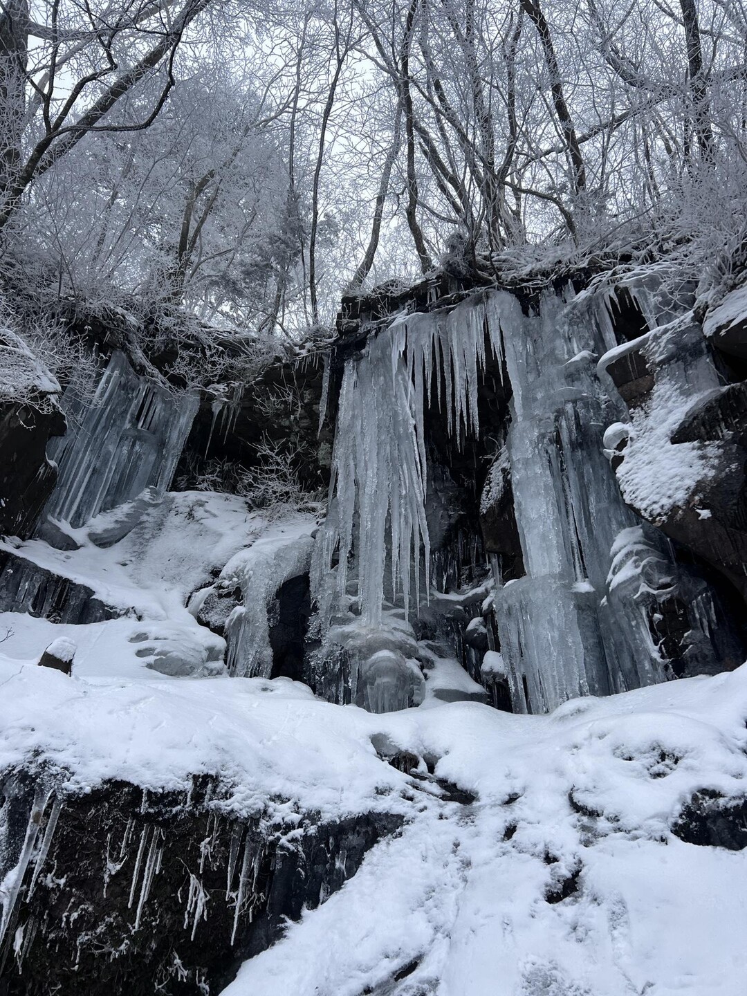 登り納め2024(英彦山) / chihiroさんの英彦山の活動データ | YAMAP / ヤマップ