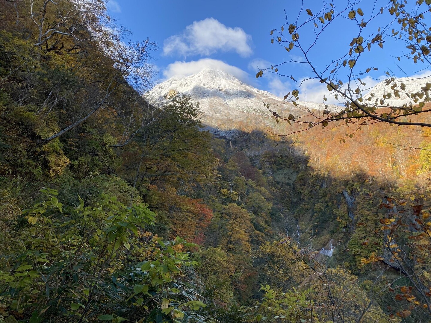 妙高山～紅葉🍁 雪 ️ クマ🐻 キツネ🦊 黄金の湯♨️ / Gentil15さんの妙高山・火打山の活動データ | YAMAP / ヤマップ