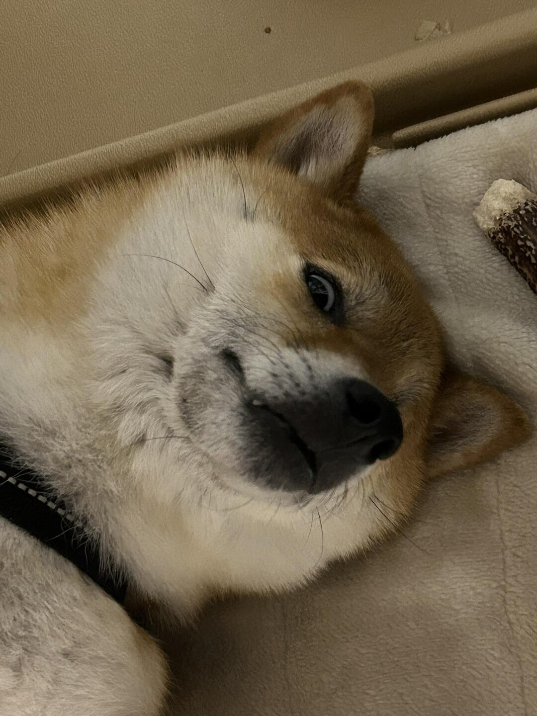 今日はMRIの結果を聞きに行ってきました... / えびちゃんさんのモーメント | YAMAP / ヤマップ