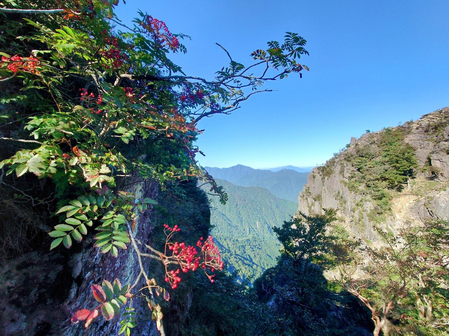 秋を感じながら傾山パノラマロードを歩く\⁠(⁠^⁠o⁠^⁠)⁠／ / SHIROさんの傾山の活動データ | YAMAP / ヤマップ