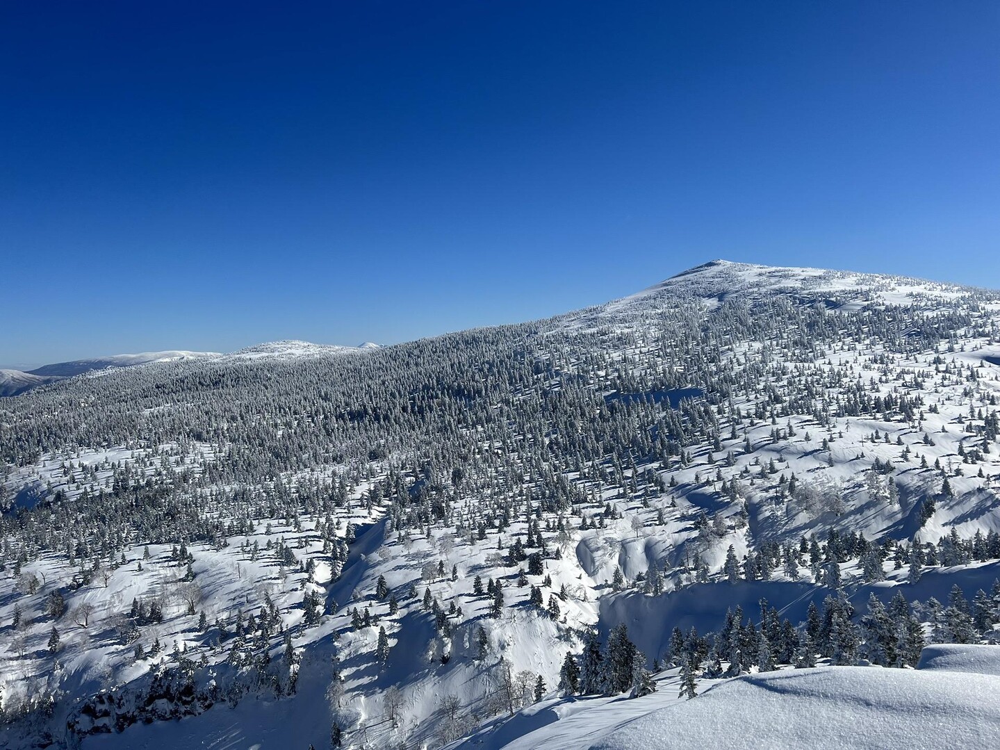 【秋田・森吉山】新年初登山。ゴンドラ山頂⇨森吉山⇨一ノ腰 / yanagi_outdoorさんの森吉山の活動データ | YAMAP / ヤマップ