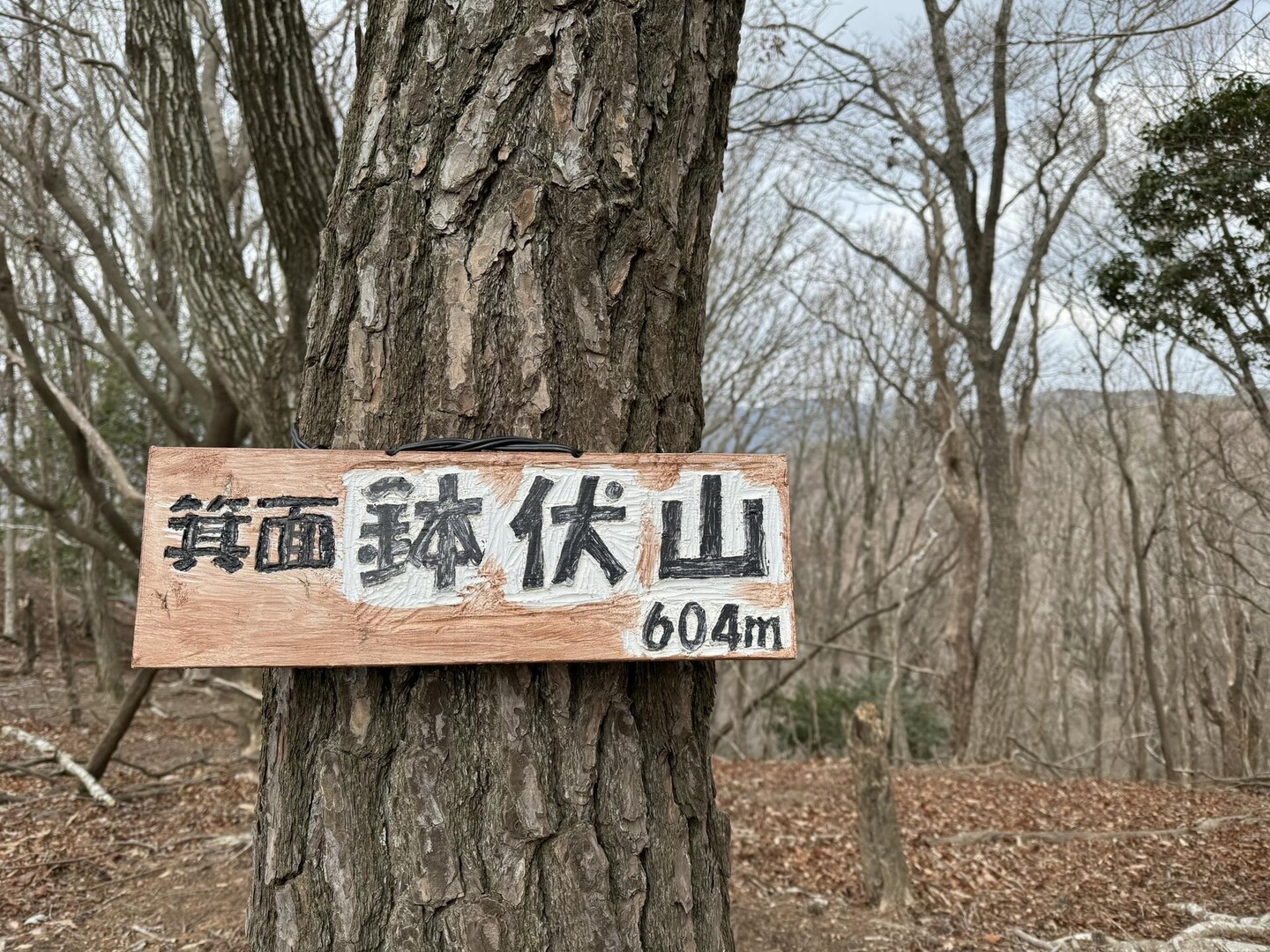 鉢伏山 / maecciさんの六個山・鉢伏山・明ヶ田尾山・五月山の活動データ | YAMAP / ヤマップ