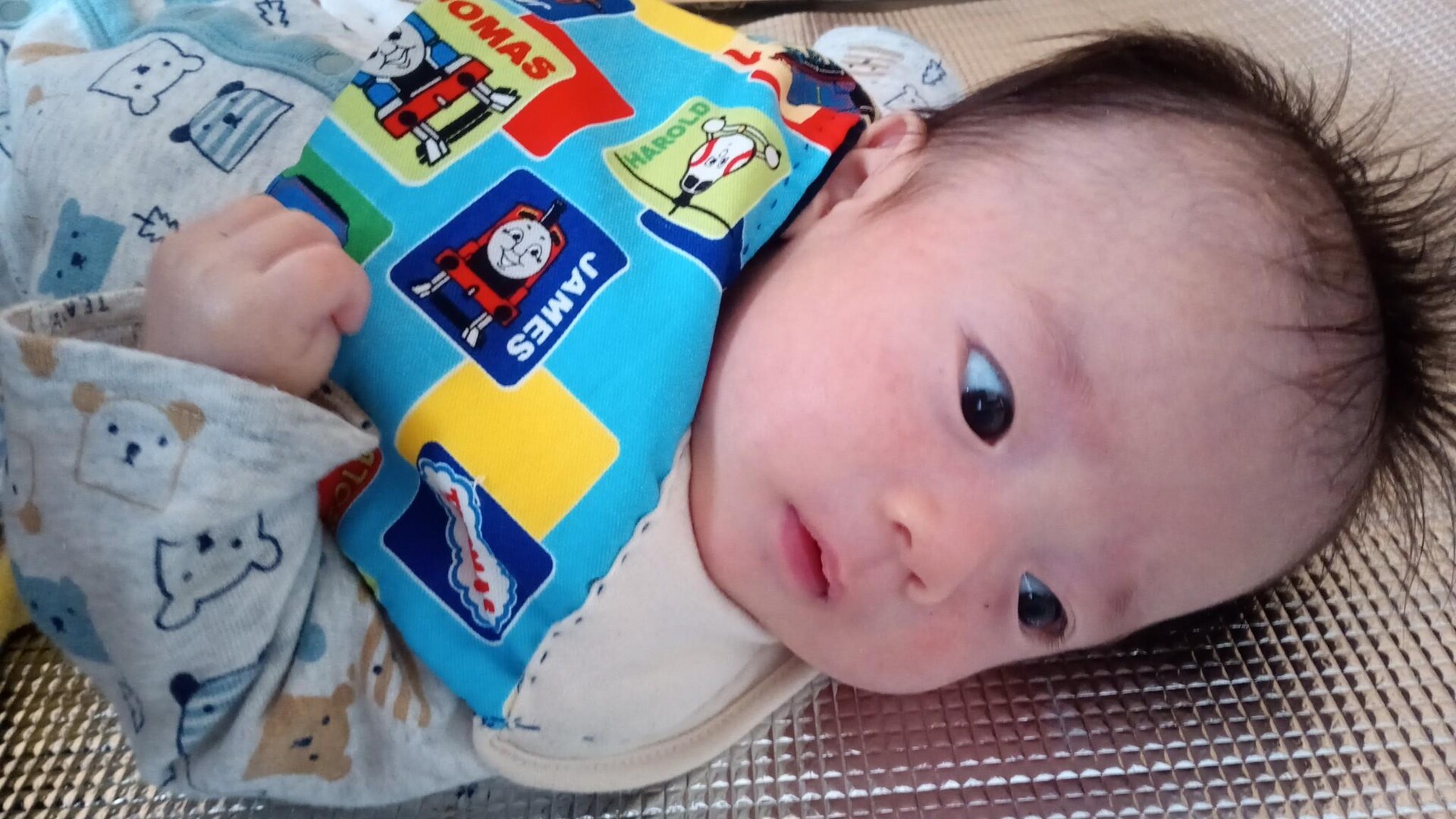 息子くんと結城の雛巡りをして、ｽﾃｷなハ... / Iwanekoさんのモーメント | YAMAP / ヤマップ