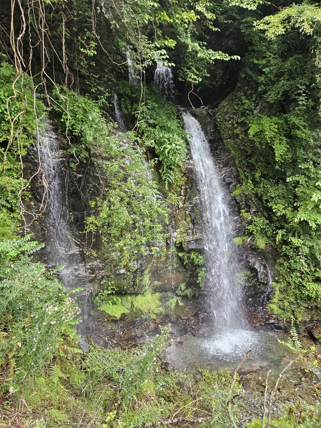 剣山 / YASさんの剣山の活動データ | YAMAP / ヤマップ