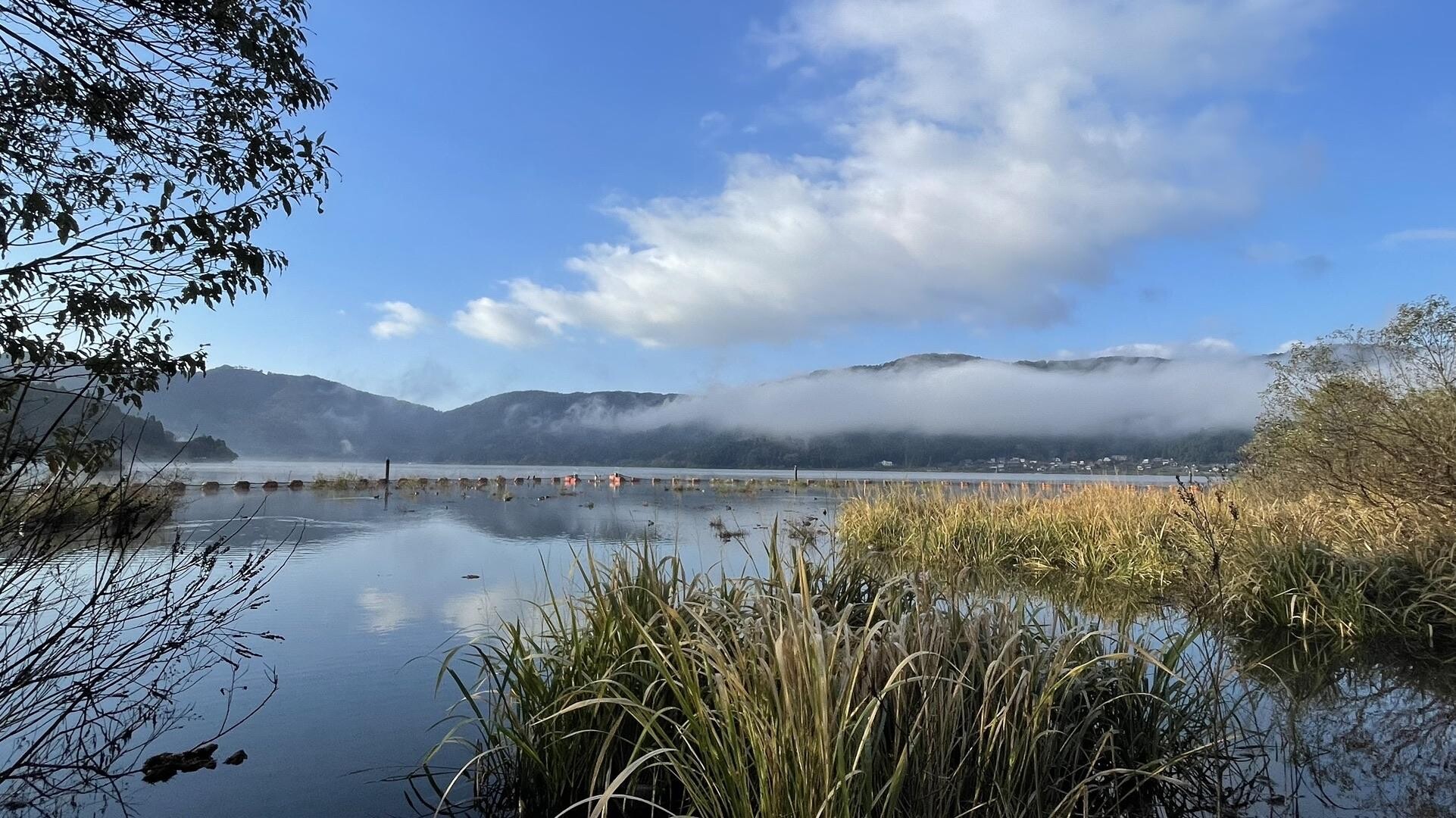 余呉湖を周回 岩崎山・大岩山・賤ヶ岳・公法寺山・大平良山 / nyさんの賤ヶ岳・山本山の活動日記 | YAMAP / ヤマップ