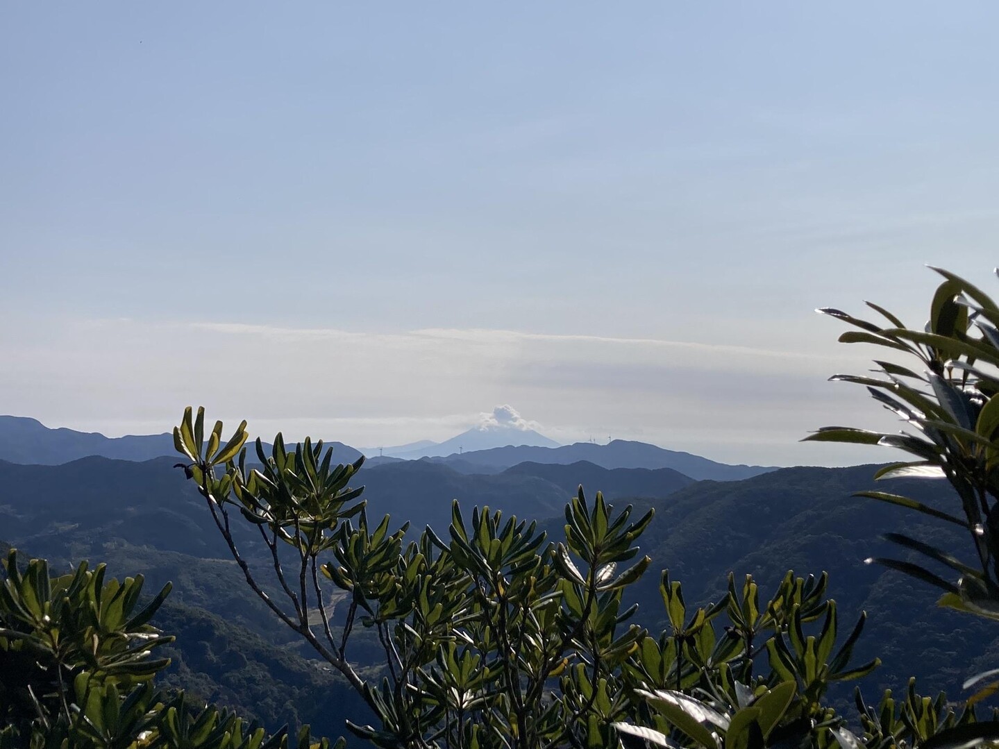 冠岳(西岳)・材木岳 / nanaさんの冠岳の活動データ | YAMAP / ヤマップ