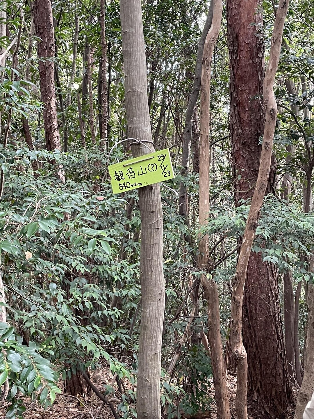 観音山 / JBT5さんの秋吉台の活動データ | YAMAP / ヤマップ